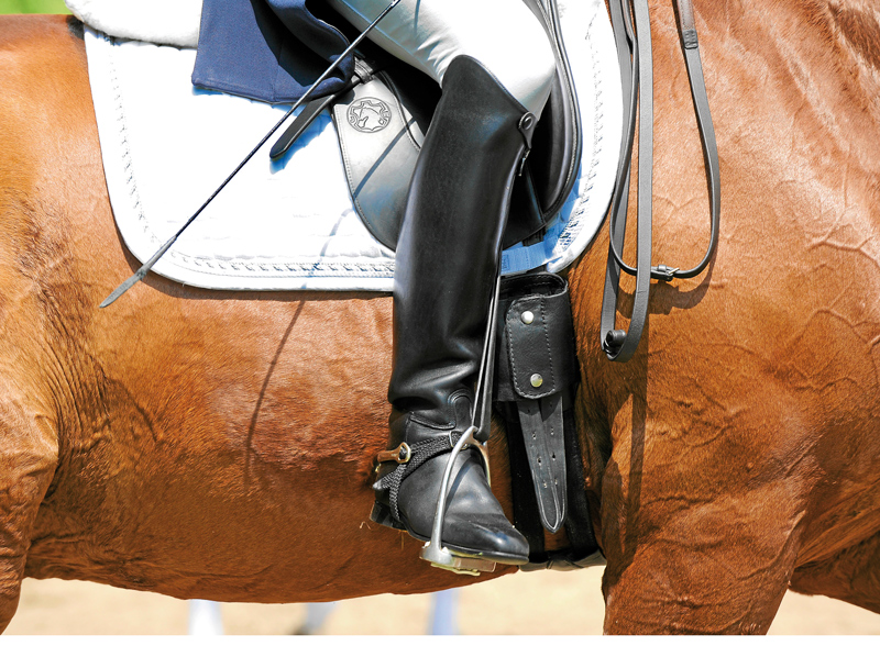 Tipos De Espuelas Todo Lo Que Debes Saber Sobre Las Espuelas Curtisur ...
